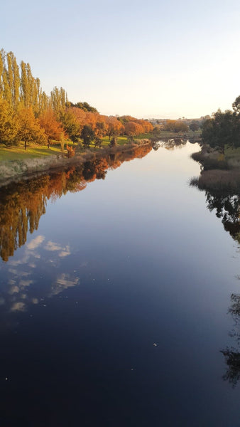 Bombala: 'A place where the waters meet’