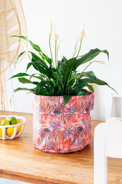 Indigenous Canvas Plant Pot: From Seeds | Yarn